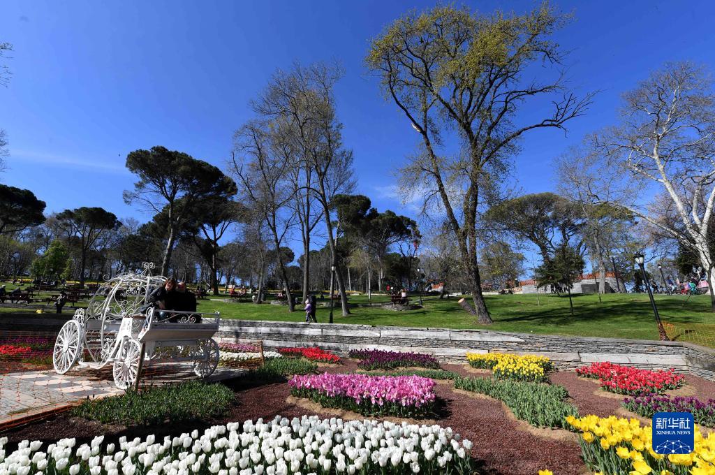 伊斯坦布尔：鲜花盛开 - 海外频道 - 东南网